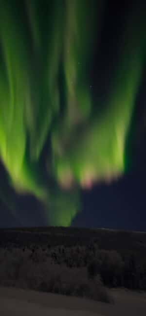Alaska: Private Northern Lights Viewing Tour - FAQs