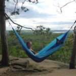 Algonquin Provincial Park Day Tour from Toronto - The Value for Money