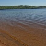 Algonquin Provincial Park Full Day Trip - Stop 2: Lookout Trail – A Rest in Nature
