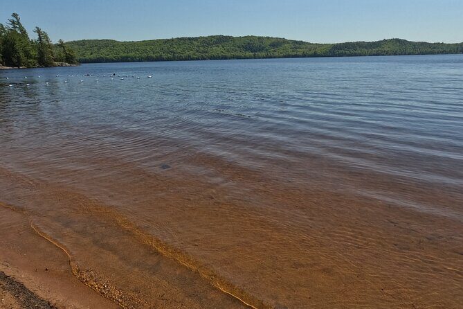 Algonquin Provincial Park Full Day Trip - Stop 2: Lookout Trail – A Rest in Nature