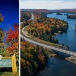 Algonquin Shuttle from Toronto - Practical Considerations: What to Know Before You Book