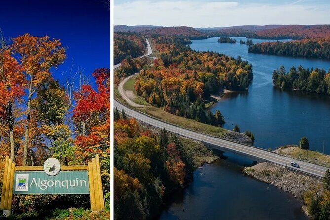 Algonquin Shuttle from Toronto - Practical Considerations: What to Know Before You Book