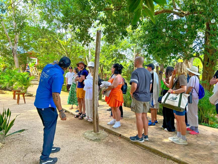 All-Inclusive: Chichen Itza & Cenote from Cancun - Who Will Love This Tour?