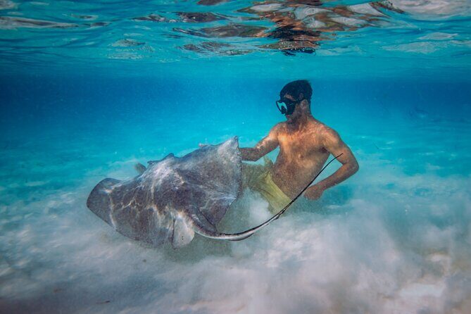 All Inclusive Cozumel: Coast & Relax 4hrs in 51" Leopard - The Food & Drinks: A Culinary Highlight