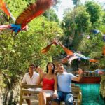 All-inclusive Xcaret Park with Transportation from Cancun & Playa Del Carmen - Who Should Consider This Tour?