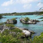 All Inclusive - Xel-Ha Park Tour from Cancún & Playa del Carmen - An In-Depth Look at the Xel-Ha Experience