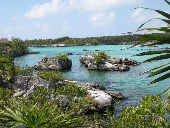All Inclusive - Xel-Ha Park Tour from Cancún & Playa del Carmen - An In-Depth Look at the Xel-Ha Experience
