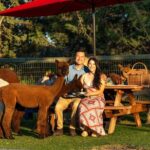 Alpaca Picnic Experience in Oregon - Value and Price