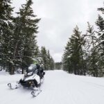 Alpine: Snowmobile Rental with Gear and Trailer - A Closer Look at the Snowmobile Rental Experience