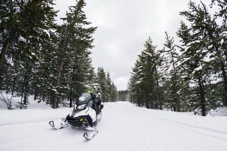 Alpine: Snowmobile Rental with Gear and Trailer - A Closer Look at the Snowmobile Rental Experience