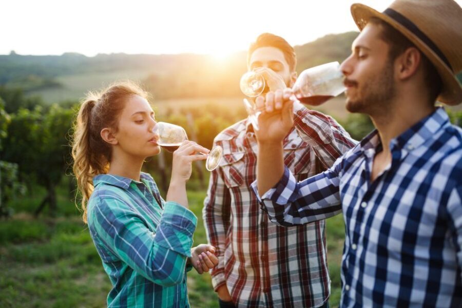 Amador County Wine Tasting Digital Passport - What You Get with the Digital Pass