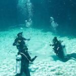 Amazing beginner dive in Tulum cenote (or refresher dive) - The Sum Up