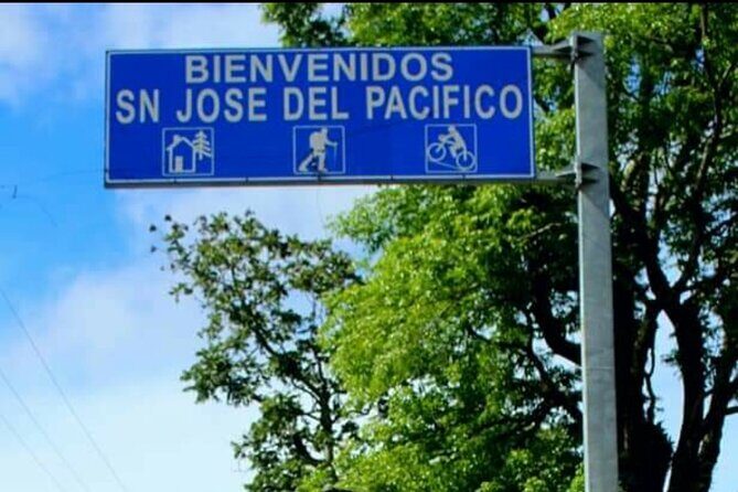 Amazing experience in the mountain of San Jose del Pacifico - Who Will Love This Tour