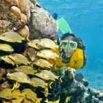 Amazing snorkeling full-day tour to Cozumel Cielo Starfish Reef - Snorkeling Experience and Marine Encounters