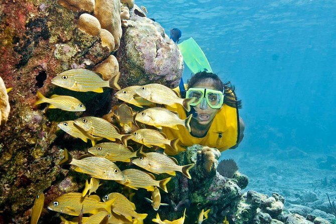 Amazing snorkeling full-day tour to Cozumel Cielo Starfish Reef - Snorkeling Experience and Marine Encounters