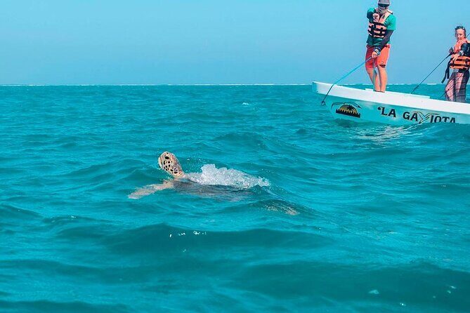 Amazing Tour in Sian Kaan biosphere with Transportation from Cancún! - Practical Tips for Your Trip