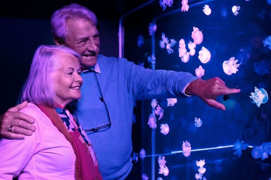 American Dream: SEA LIFE® Aquarium Entry Ticket - The Size and Duration of the Visit