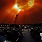 American Museum of Natural History Admission Ticket - Why It’s a Good Value