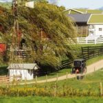 Amish Experience Visit-In-Person Tour - The Sum Up