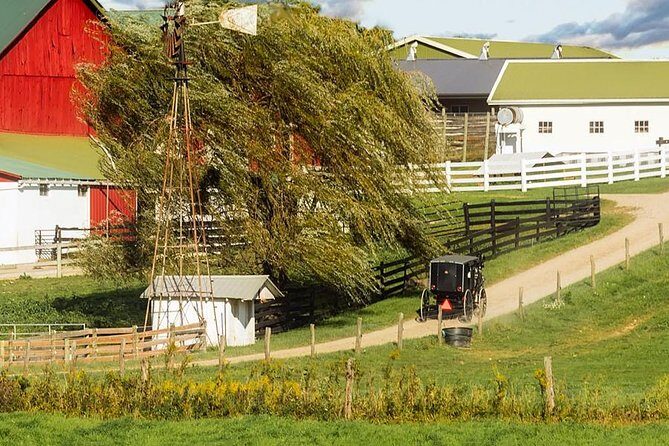 Amish Experience Visit-In-Person Tour - The Sum Up