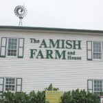 Amish Farm and House Day Tour from Washington D.C. - Authentic Experiences Highlighted by Travelers