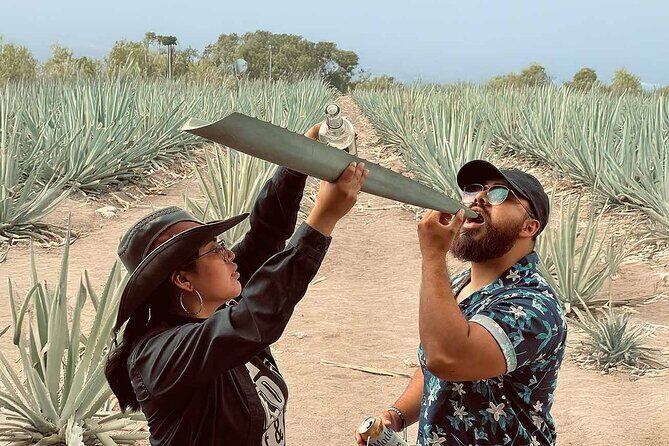 An adventure for the senses: Mezcal, fields and crafts. - The Cultural and Educational Value