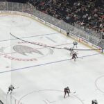 Anaheim Ducks Ice Hockey Game at Honda Center - What to Expect During the Game