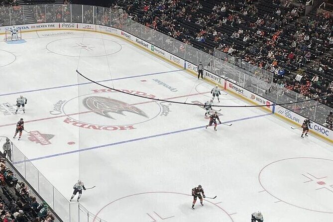 Anaheim Ducks Ice Hockey Game at Honda Center - What to Expect During the Game