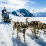 Anchorage Area: Helicopter and Glacier Dogsled Tour - The Helicopter Ride: Soaring Above Ice and Mountain