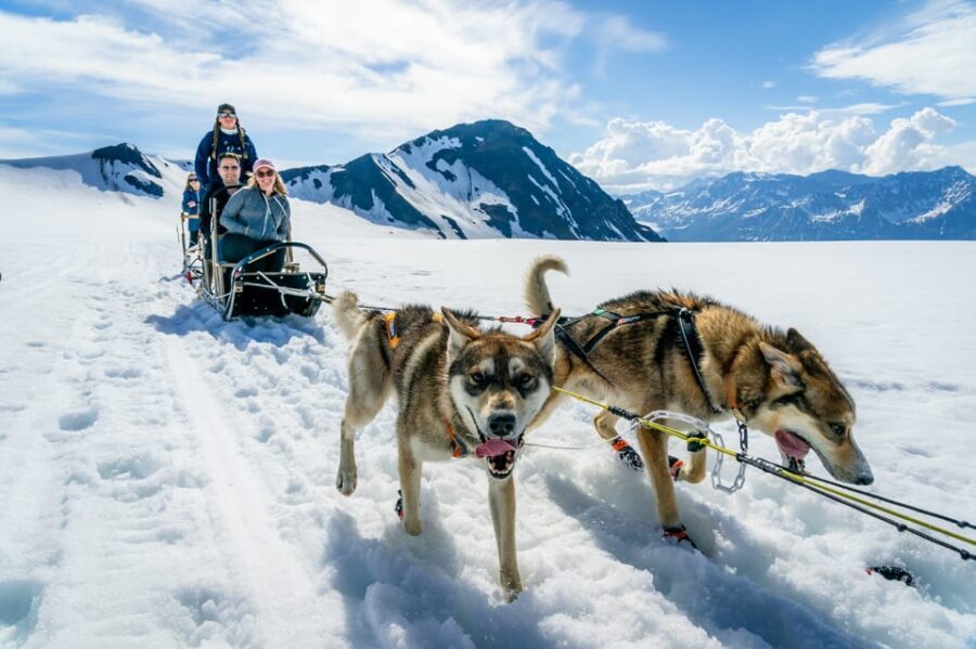 Anchorage Area: Helicopter and Glacier Dogsled Tour - The Helicopter Ride: Soaring Above Ice and Mountain