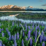 Anchorage: Turnagain Arm Highlights Photography Day Trip - Itinerary Breakdown and Highlights