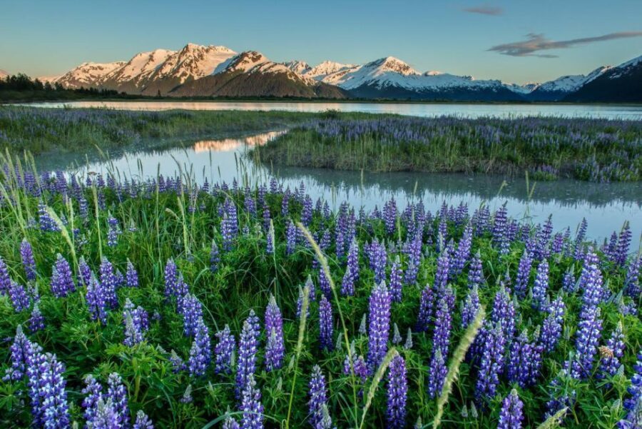 Anchorage: Turnagain Arm Highlights Photography Day Trip - Itinerary Breakdown and Highlights