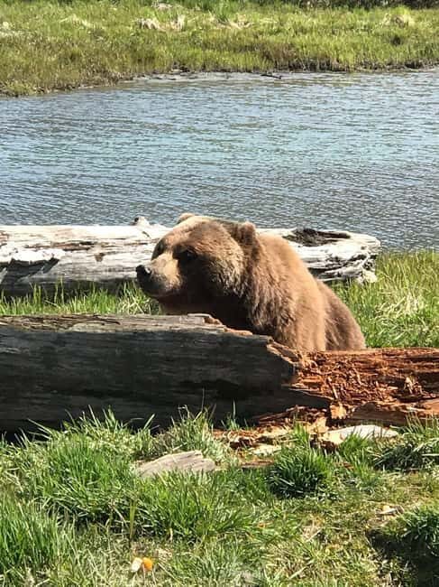 Anchorage: Wildlife, Glacier, and Wine Tasting Tour - FAQ
