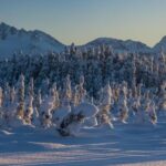 Anchorage: Winter Wonderland Photo Tour - Exploring Anchorage’s Winter Landscape: An In-Depth Review