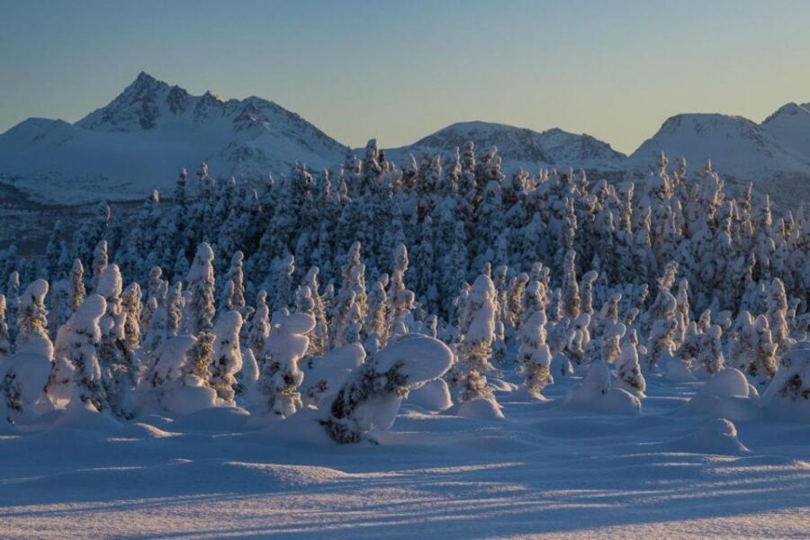 Anchorage: Winter Wonderland Photo Tour - Exploring Anchorage’s Winter Landscape: An In-Depth Review