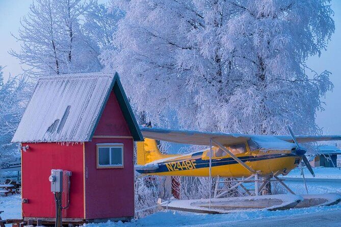 Anchorage Winter Wonderland Photo Tour - Who Will Love This Tour?