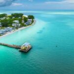 Anna Maria Island: Dolphin Cruise - Authentic Reviews and Insights