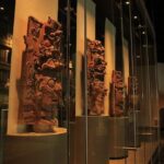 Anthropology Museum Early Access Tour - Practical Considerations