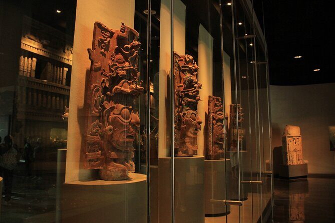 Anthropology Museum Early Access Tour - Practical Considerations