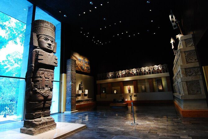 Anthropology Museum Ticket - Key Points
