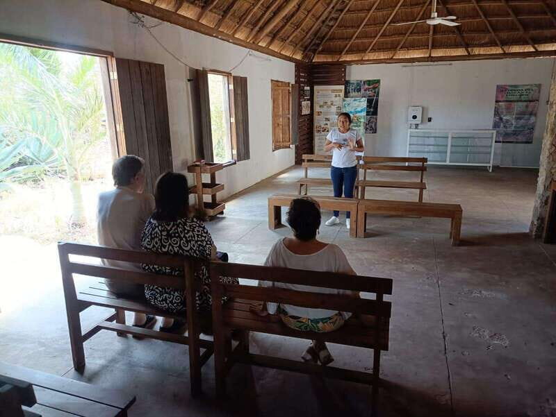 Apiary Tour (Bee tour) also Archeological site and salt Pond - Practical Details and What to Expect