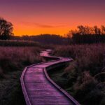 Appalachian Trail, Mountain Hiking Tours from New York City - Exploring the Appalachian Trail from NYC