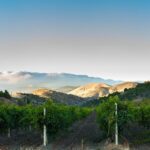 Apple Hill/Carson Road Digital Wine Tasting Passport - What Are the Key Points?