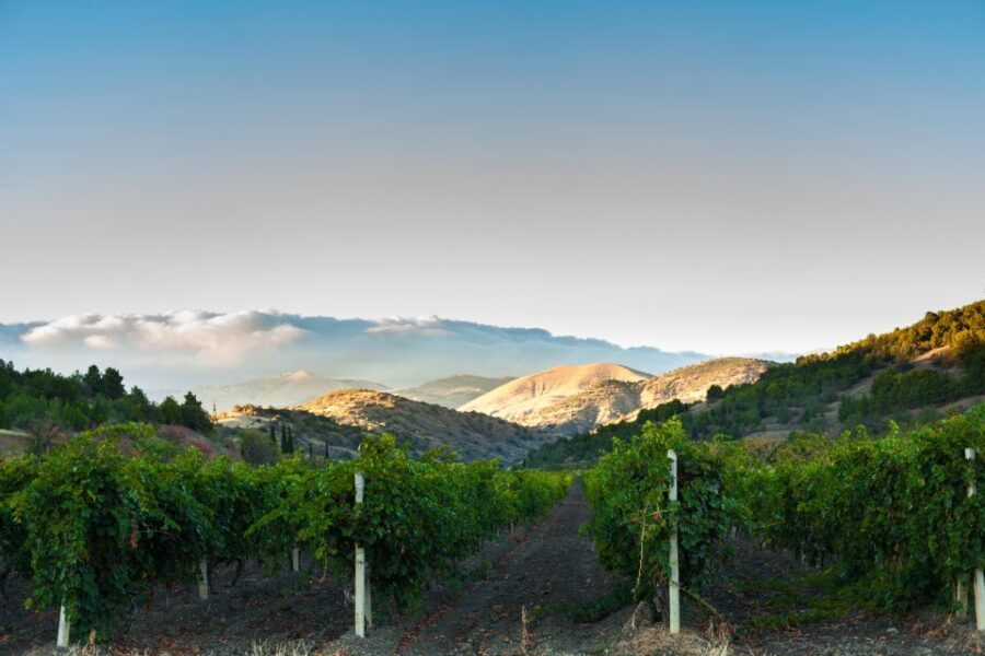 Apple Hill/Carson Road Digital Wine Tasting Passport - What Are the Key Points?