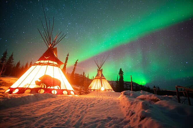 Arctic Day: Aurora Viewing Tour | late night - The Sum Up
