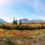 Arctic Day: Kluane National Park Tour | full day - FAQ