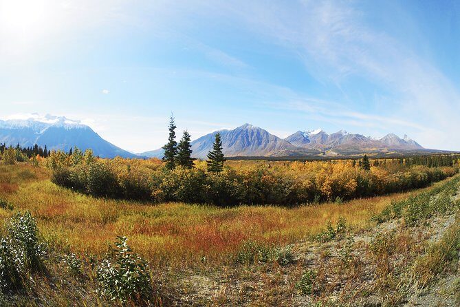 Arctic Day: Kluane National Park Tour | full day - FAQ