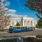 Arlington National Cemetery Hop-On Hop-Off Tour - Authentic Traveler Reviews and Insights