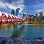 Arrival Transfer: Calgary Airport YYC to Calgary by Business Car - What You Get