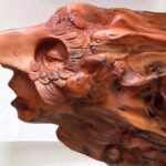 Art and Culture in Todos Santos - Meeting the Local Artists and Cultural Influences